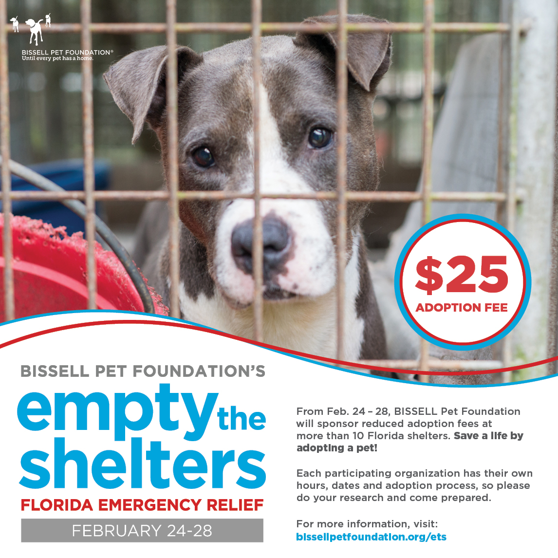 Empty the shelters Florida emergency relief – Flagler Humane Society