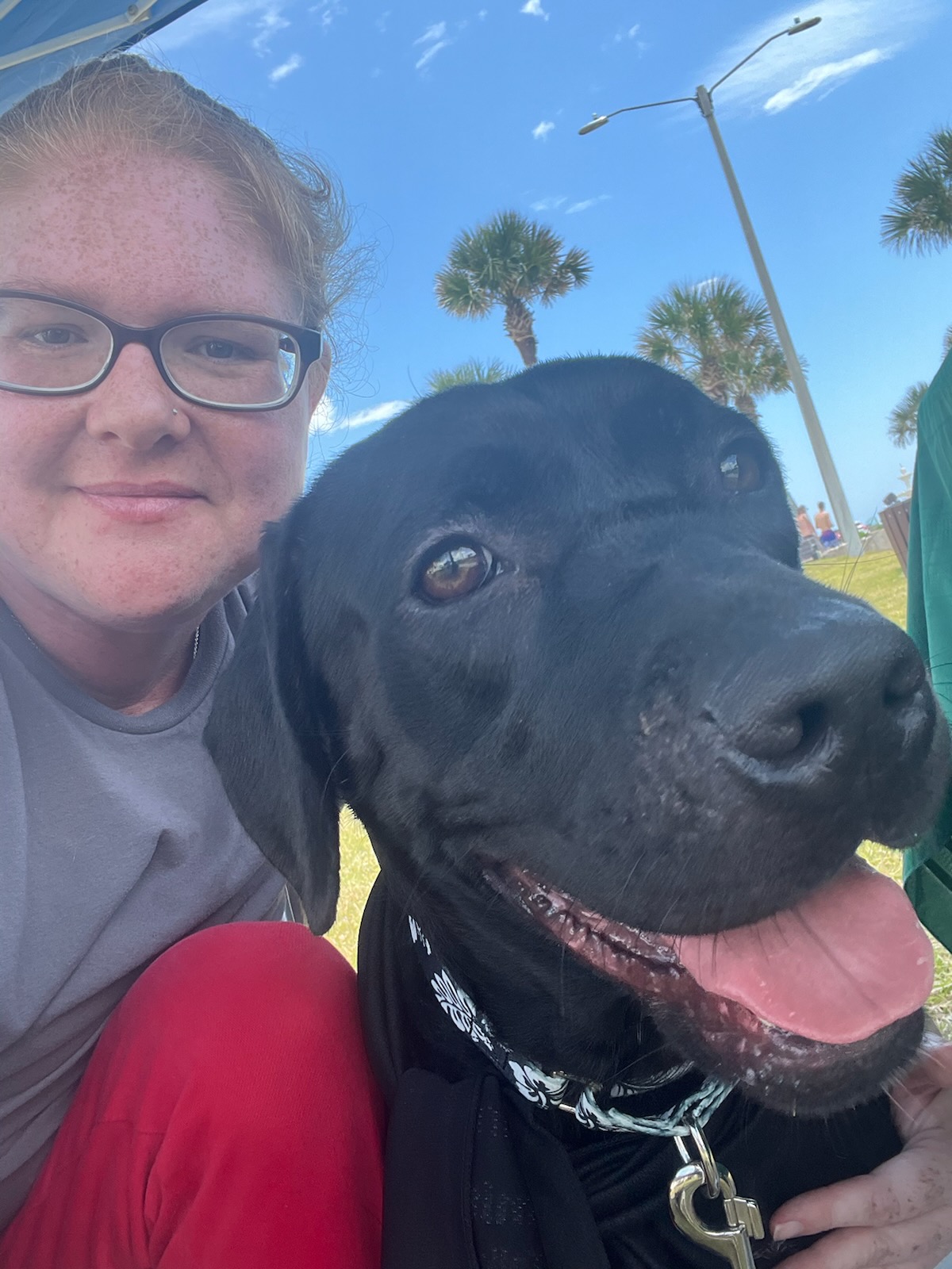 NATIONAL ANIMAL SHELTER APPRECIATION WEEK - Flagler Humane Society