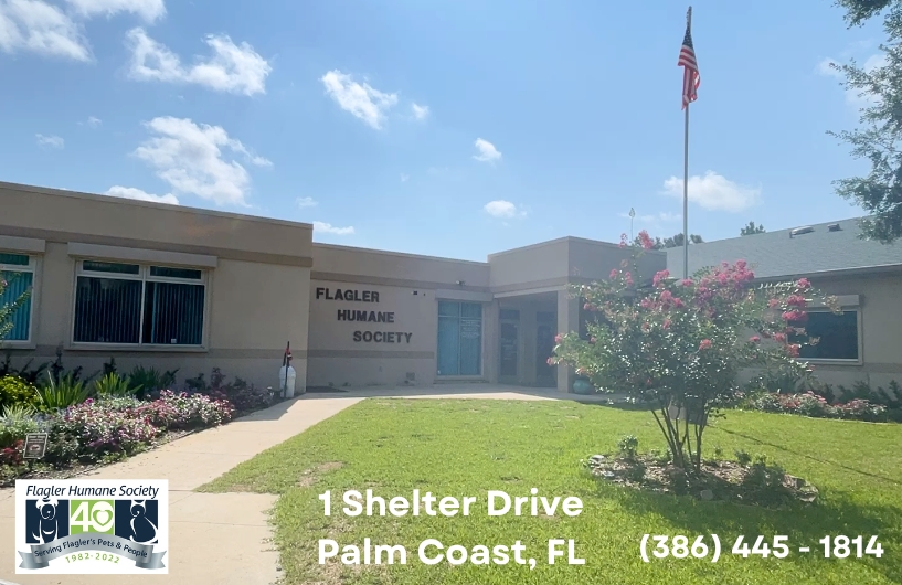 Home - Flagler Humane Society