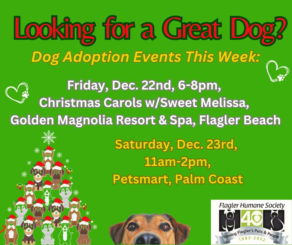 Upcoming Adoption Events - Flagler Humane Society