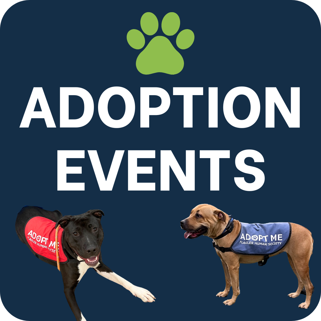 Adopt – Flagler Humane Society