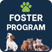 Adopt – Flagler Humane Society