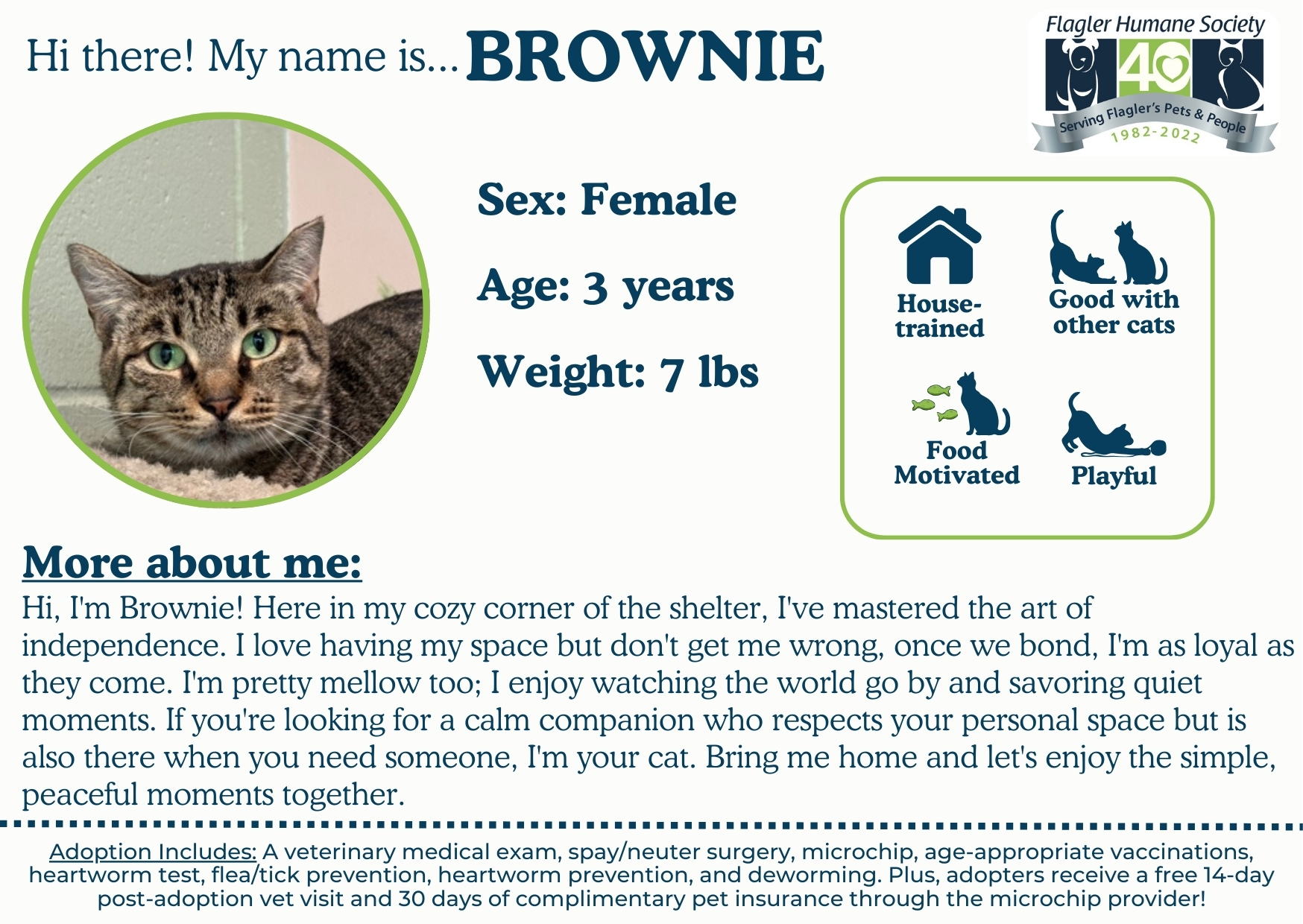 Featured Adoptable Pets – Flagler Humane Society