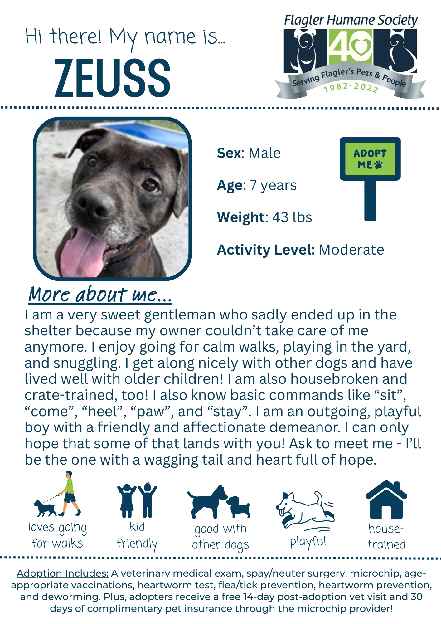Featured Adoptable Pets – Flagler Humane Society